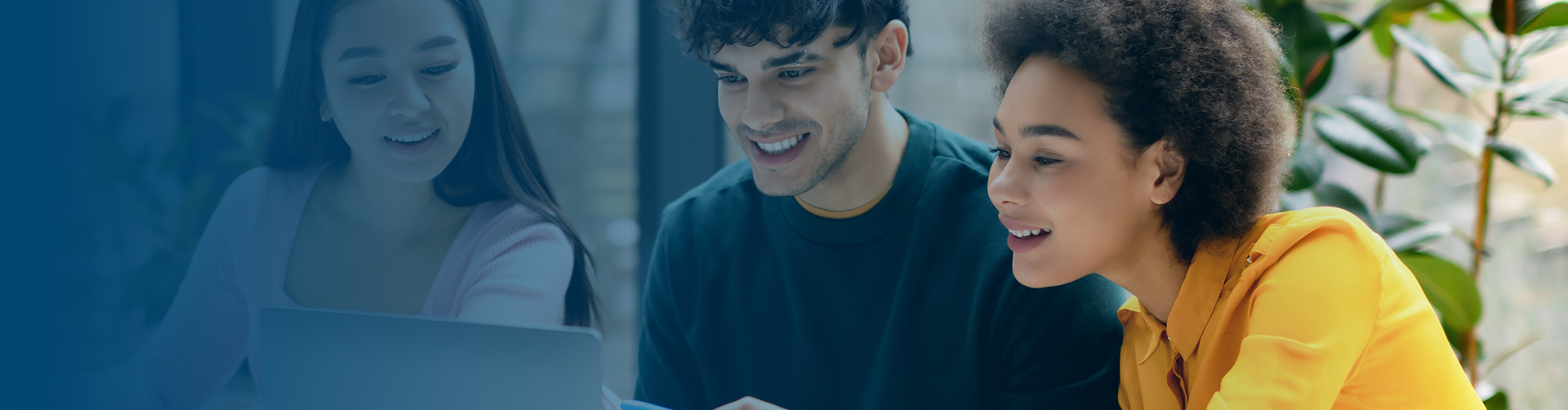 Intensive Learning at Schiller International University